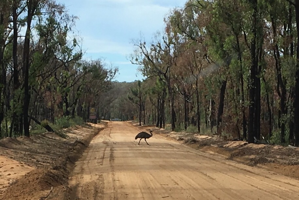On to Mt Kaputar NP…
