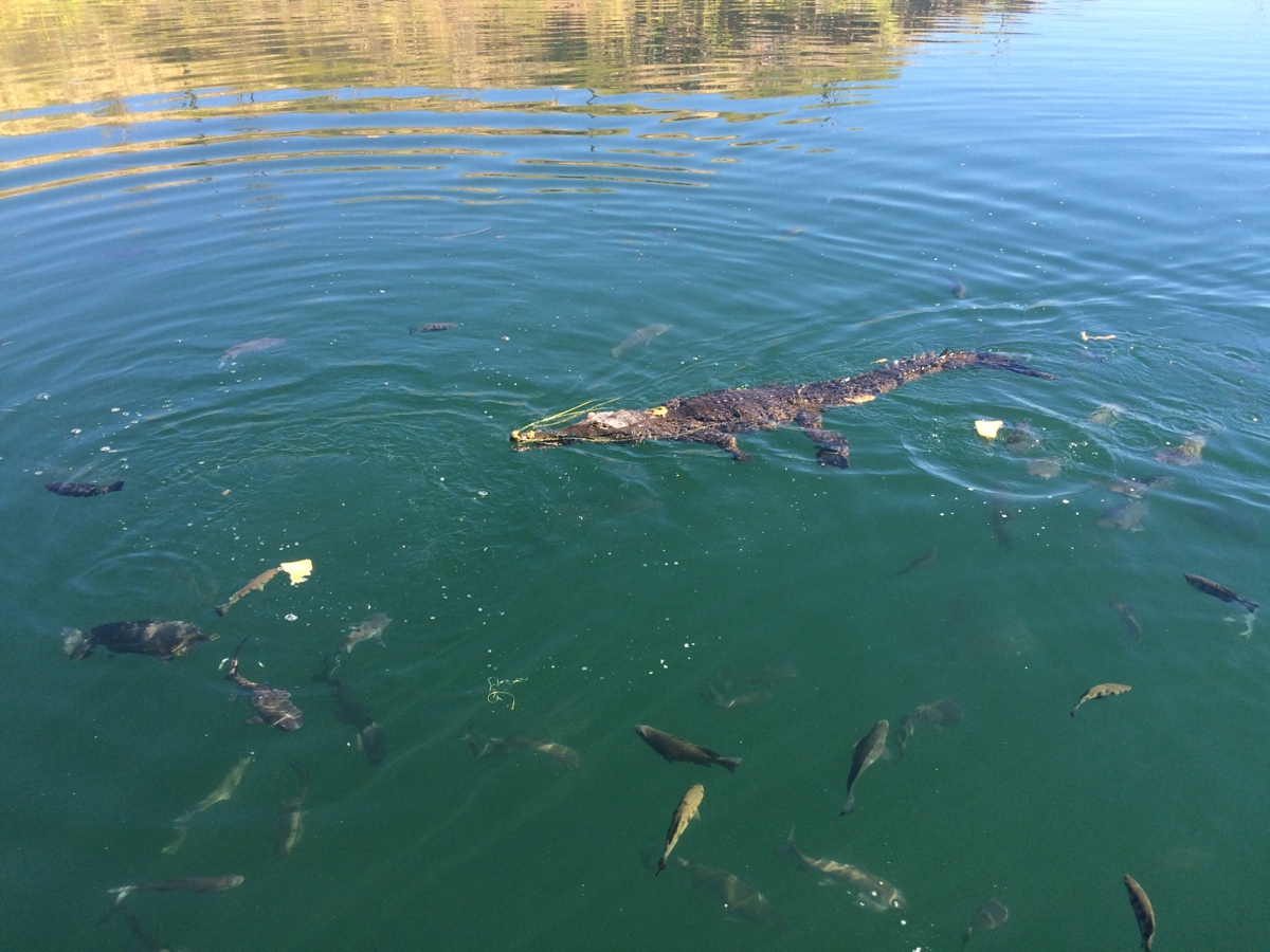 Kununurra, Lake Argyle and Wyndham – Boats and boab country – Travel ...