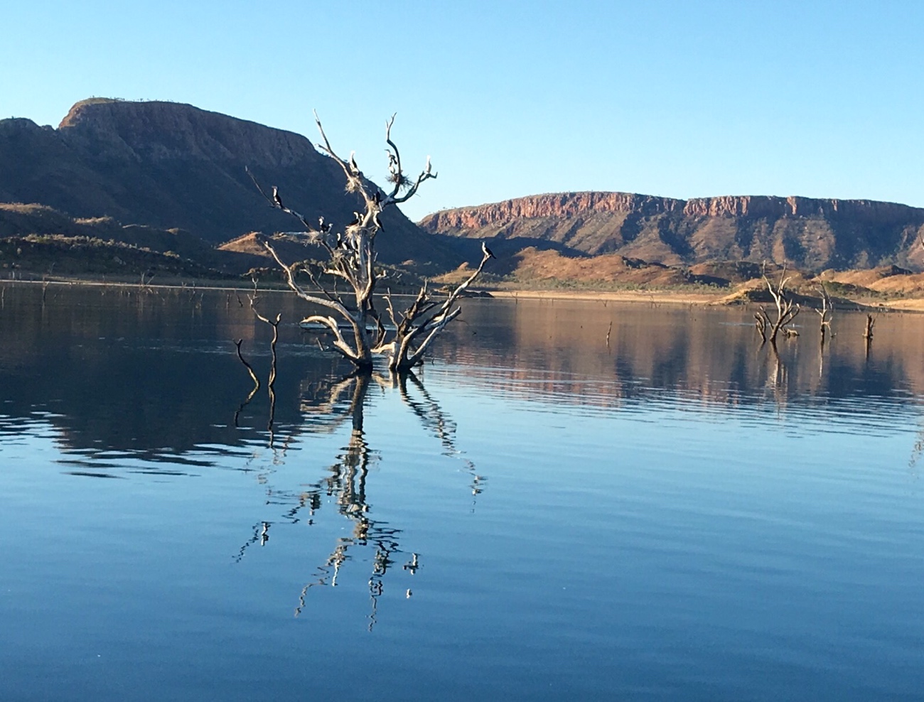Kununurra, Lake Argyle and Wyndham – Boats and boab country – Travel ...